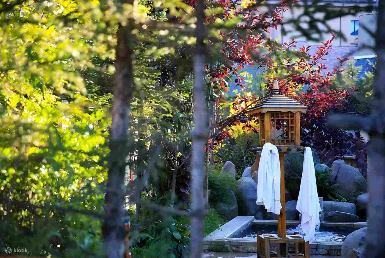Wanda Realm Resort Hannashan Hot Spring Hotel Accommodation Package ...